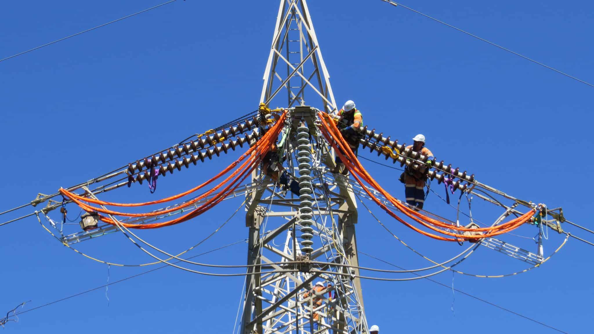 Gallery - Powerline Training