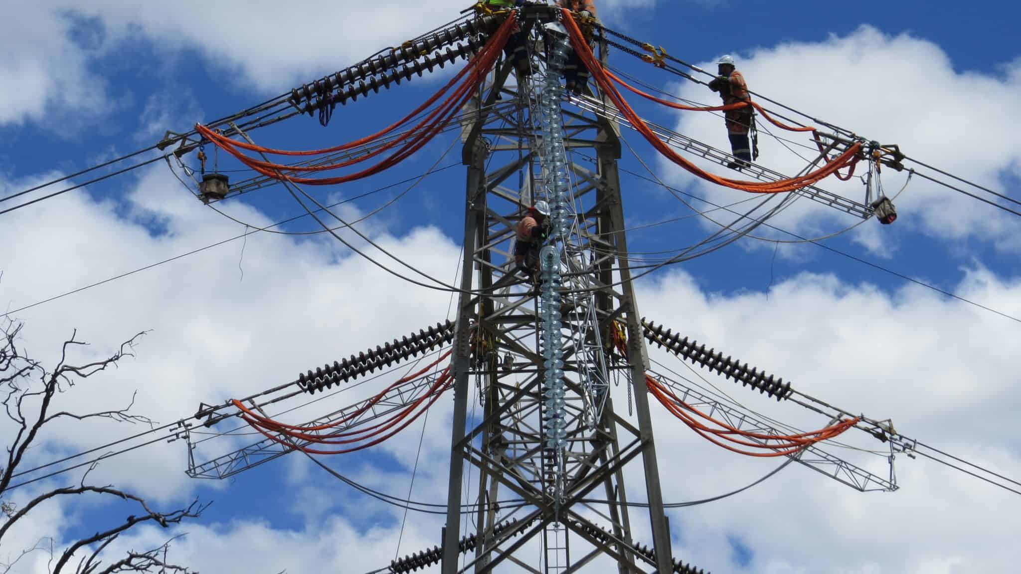 Gallery - Powerline Training