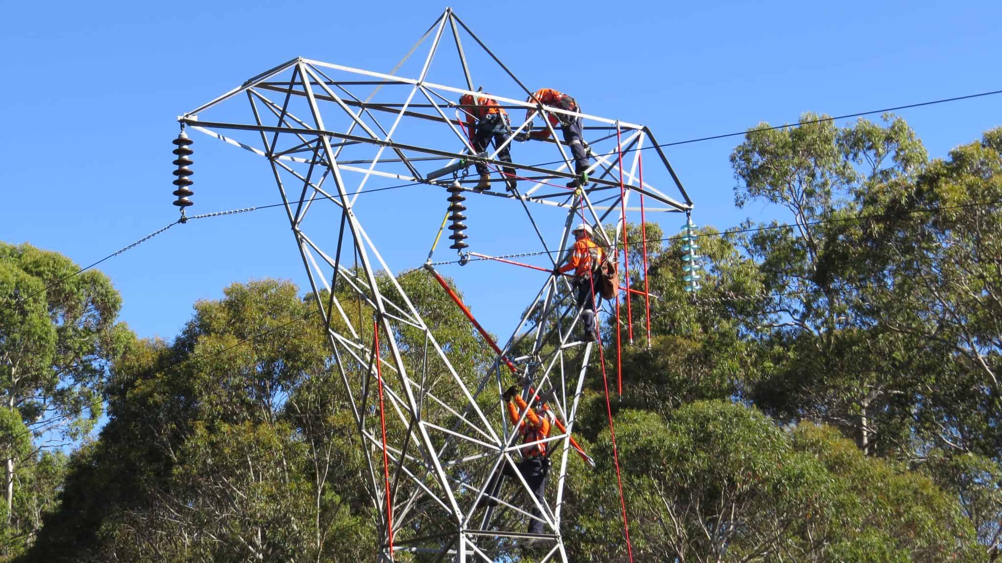 Gallery - Powerline Training