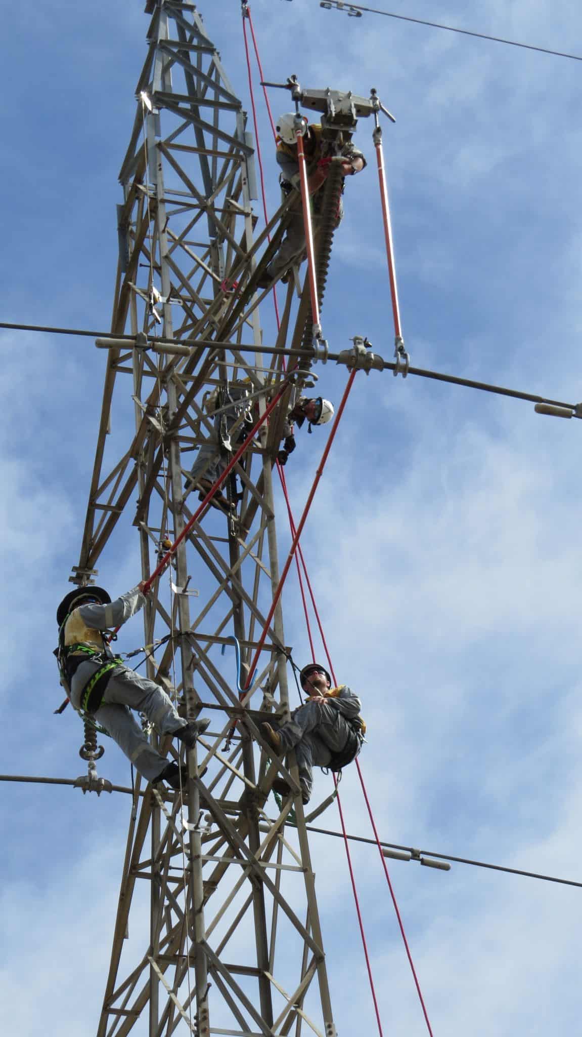 Gallery - Powerline Training