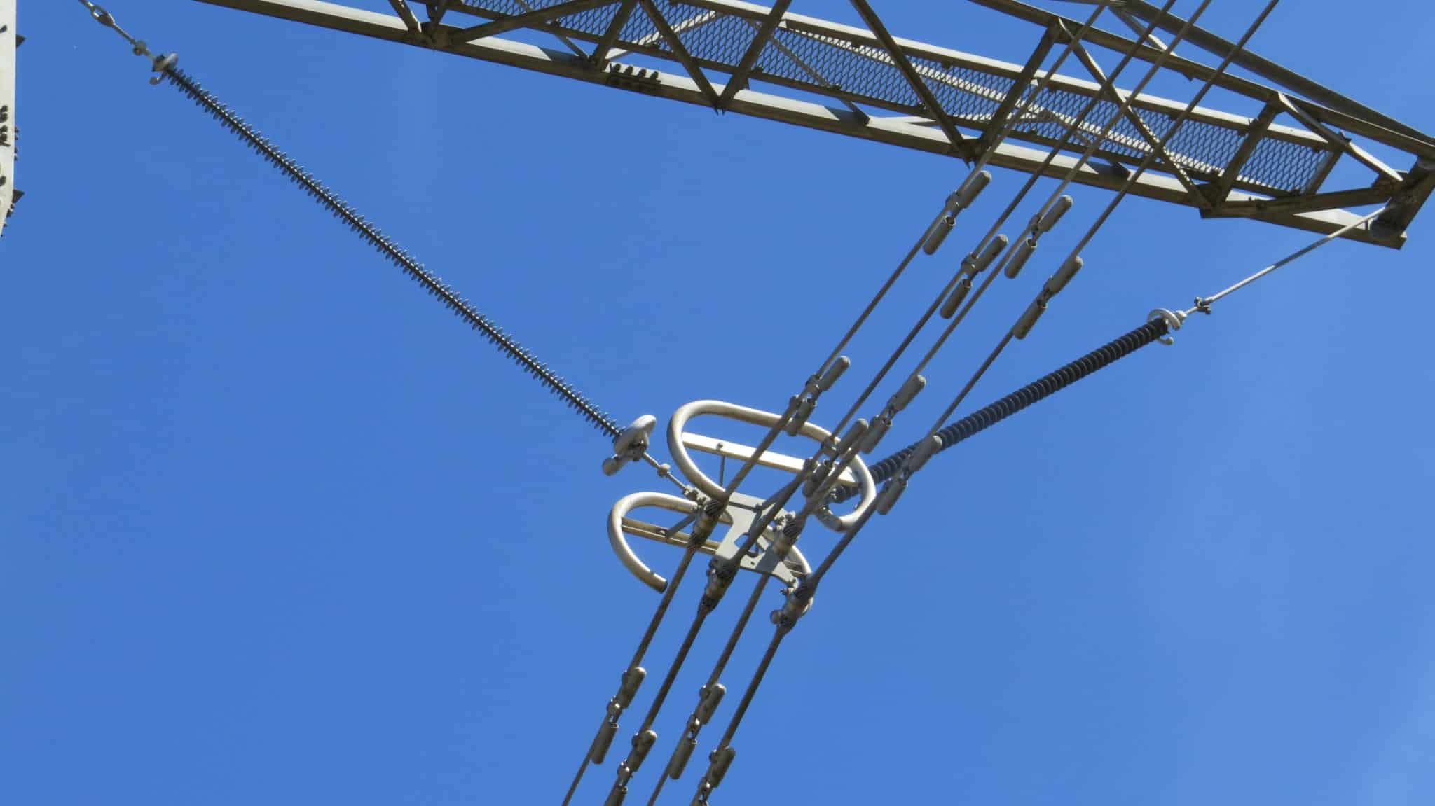 Gallery - Powerline Training