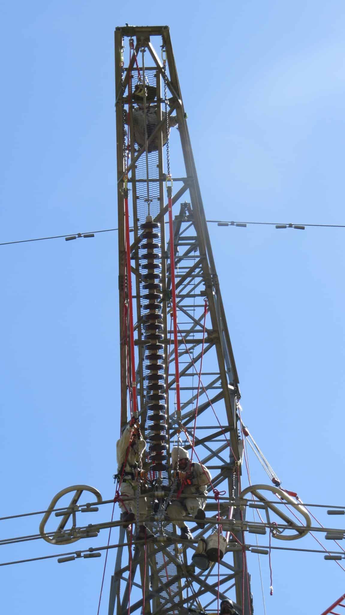 Gallery - Powerline Training