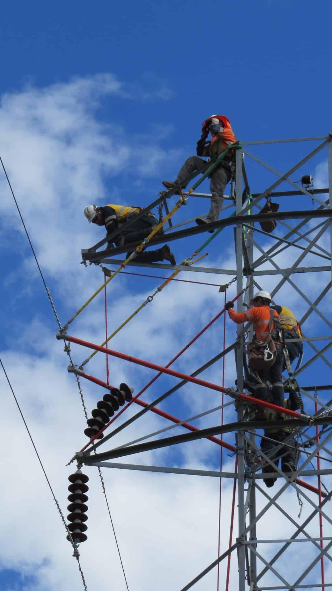 Gallery - Powerline Training