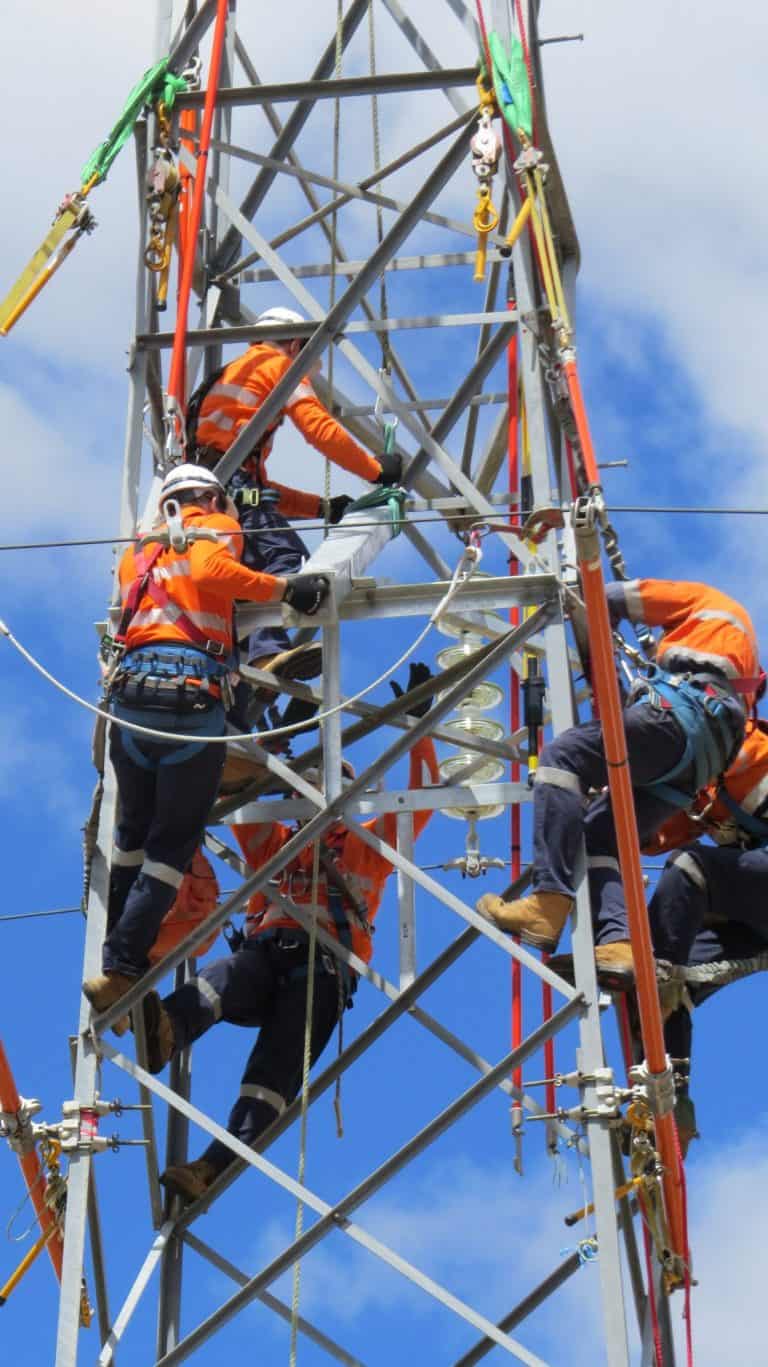 Gallery - Powerline Training