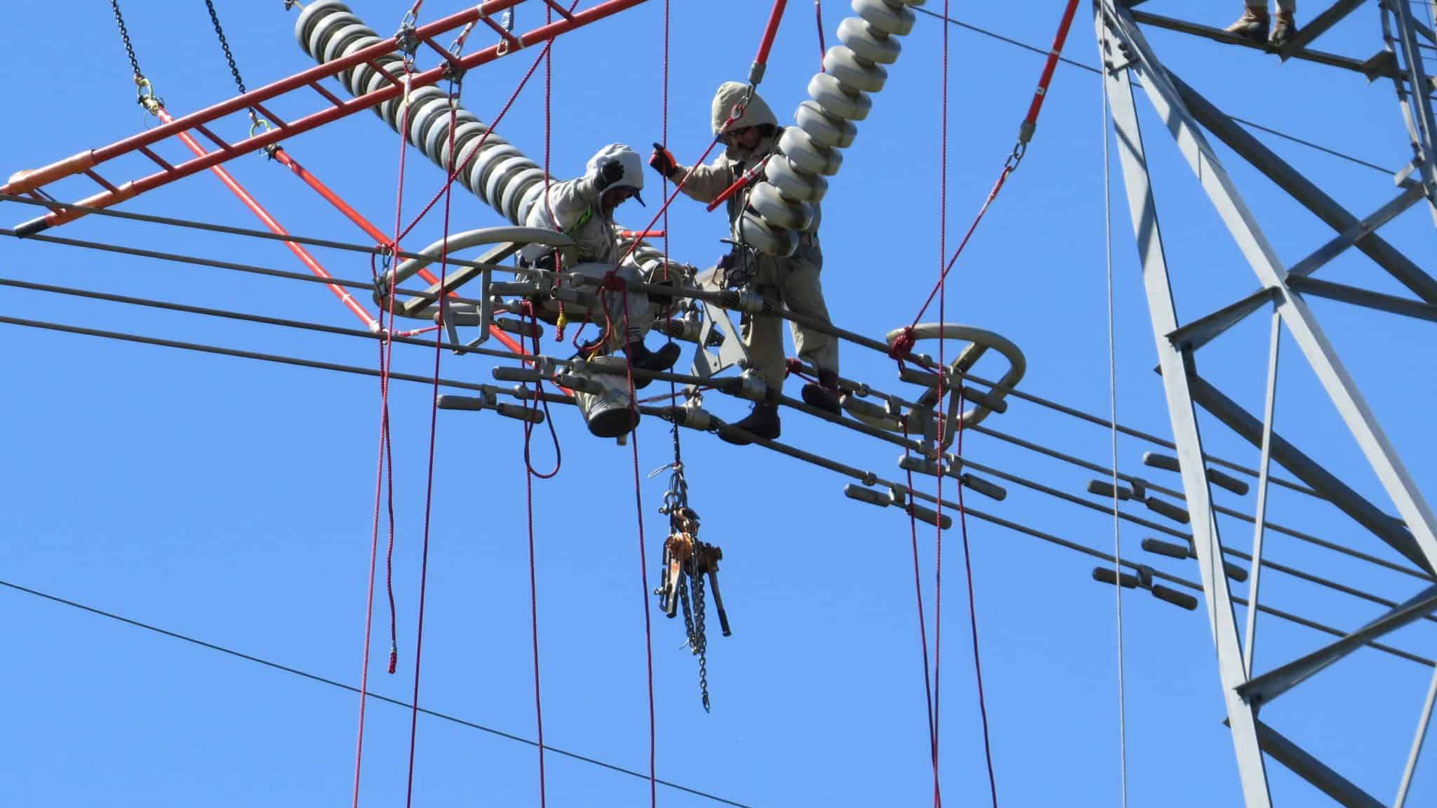 Gallery - Powerline Training
