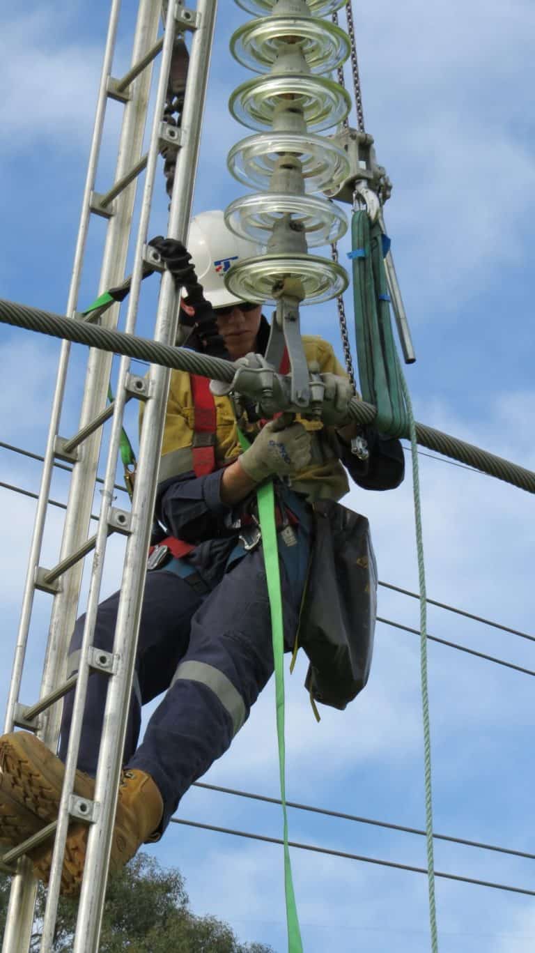 Gallery - Powerline Training