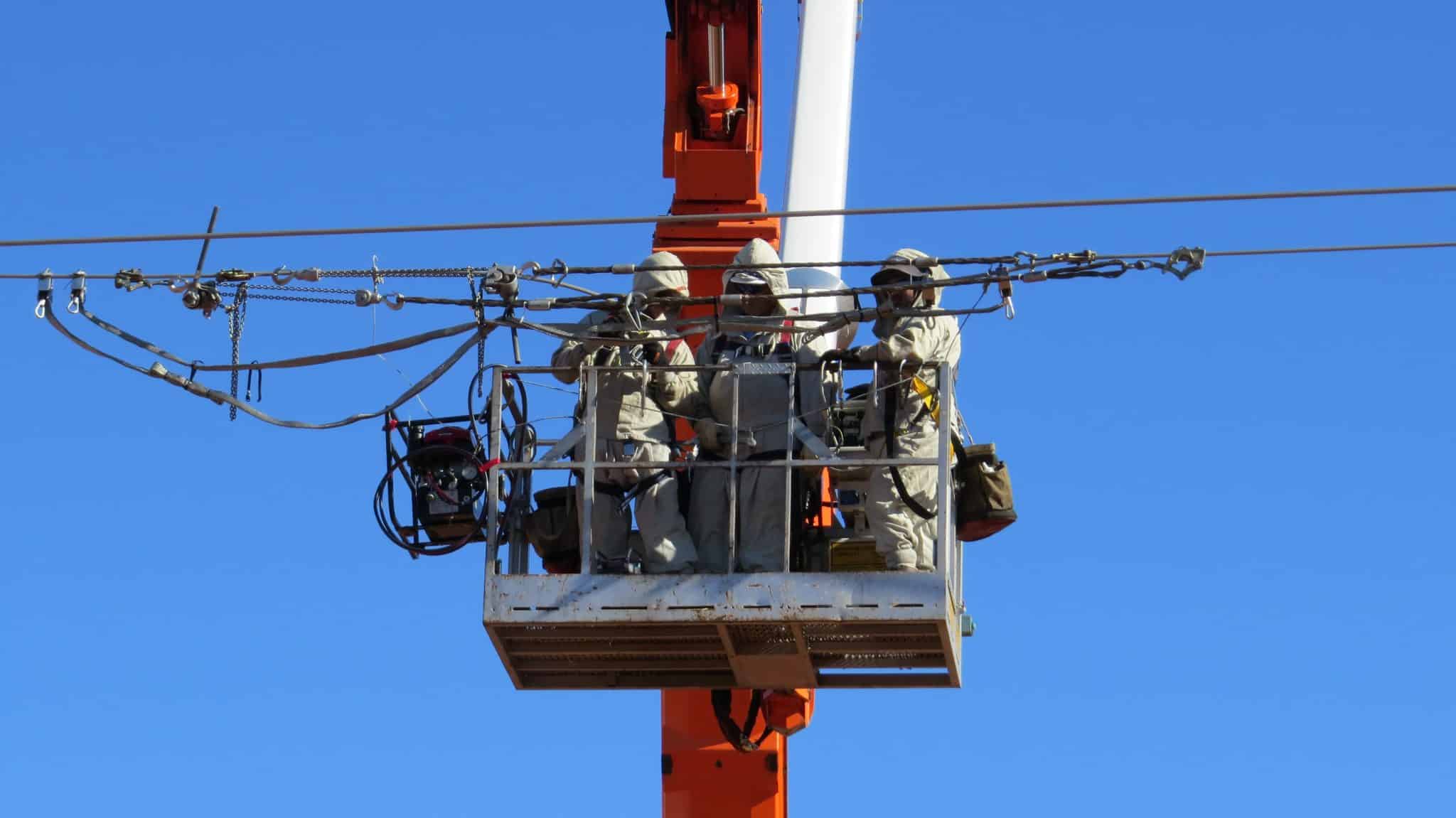 Gallery - Powerline Training